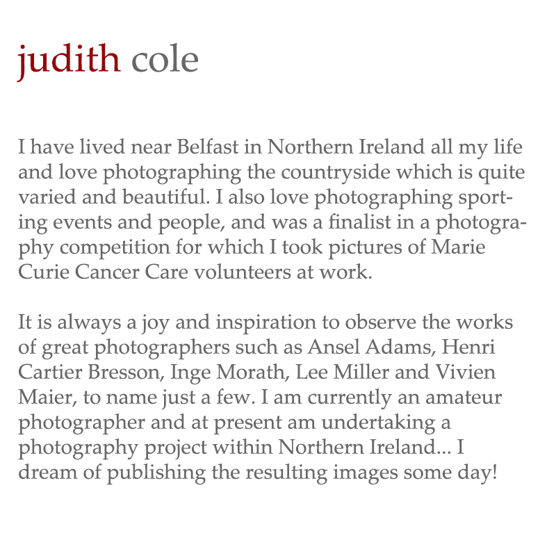 week 29 – judith cole – burn magazine