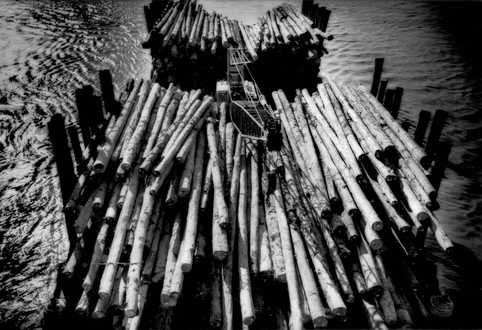 James Whitlow Delano – The Little People: Equatorial Rainforest Project ...