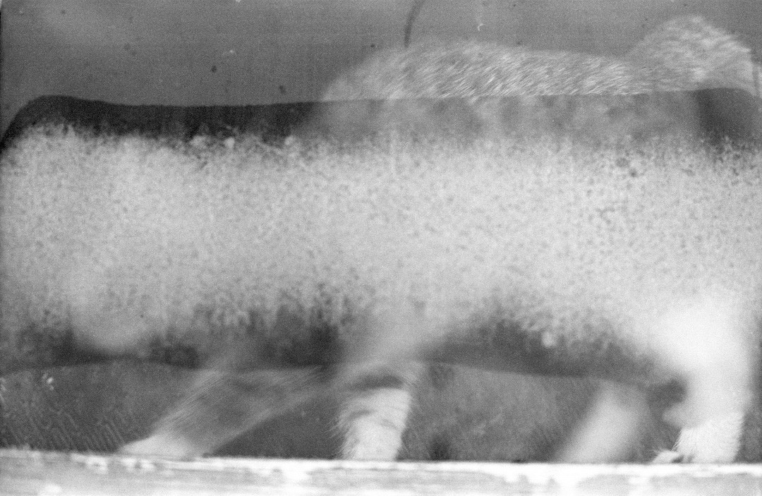 Igor Elukov – The North – burn magazine