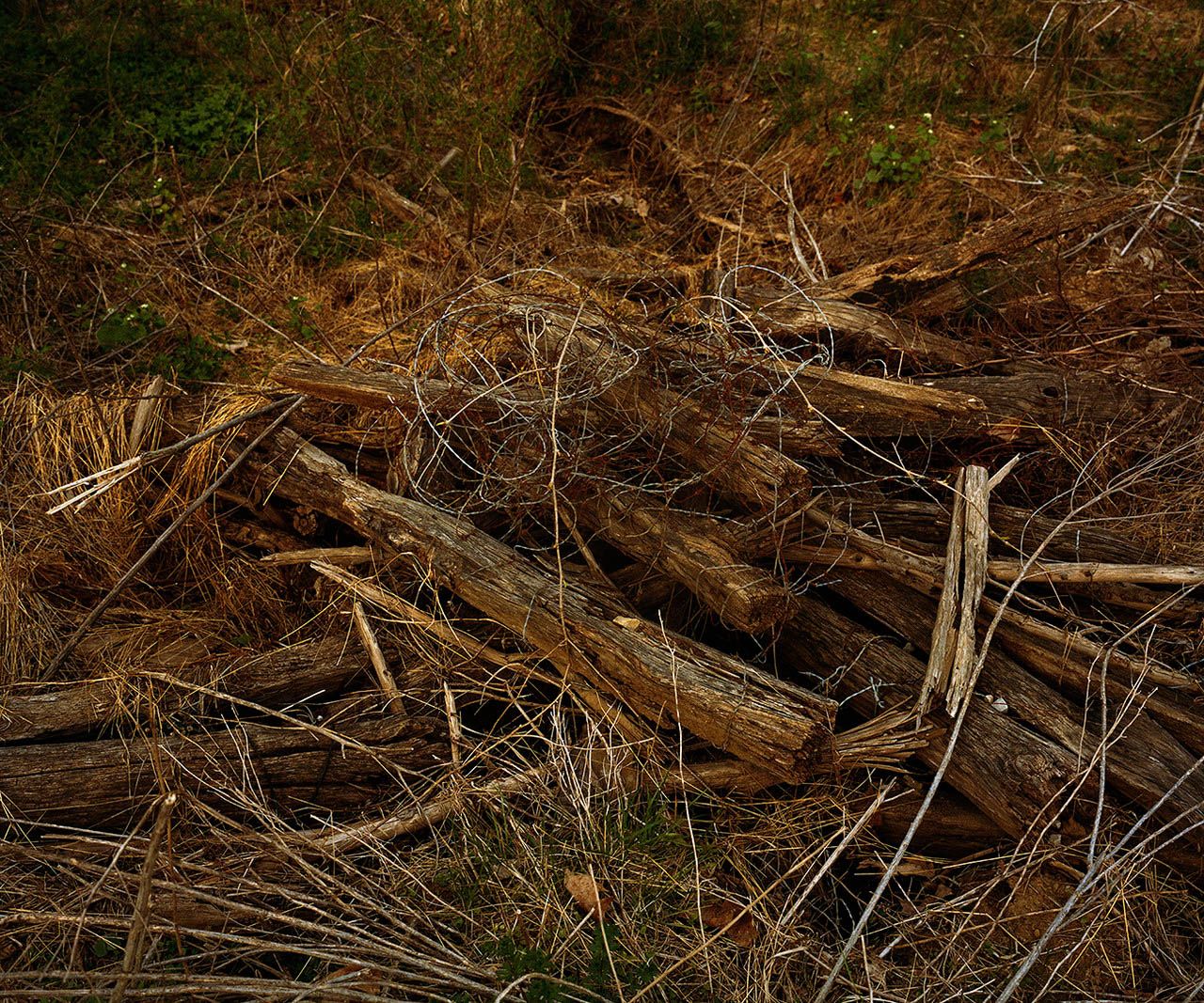 wood barb wire 001 – burn magazine