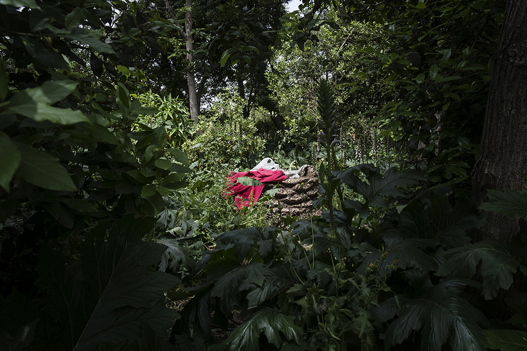 The Body In Crisis – burn magazine