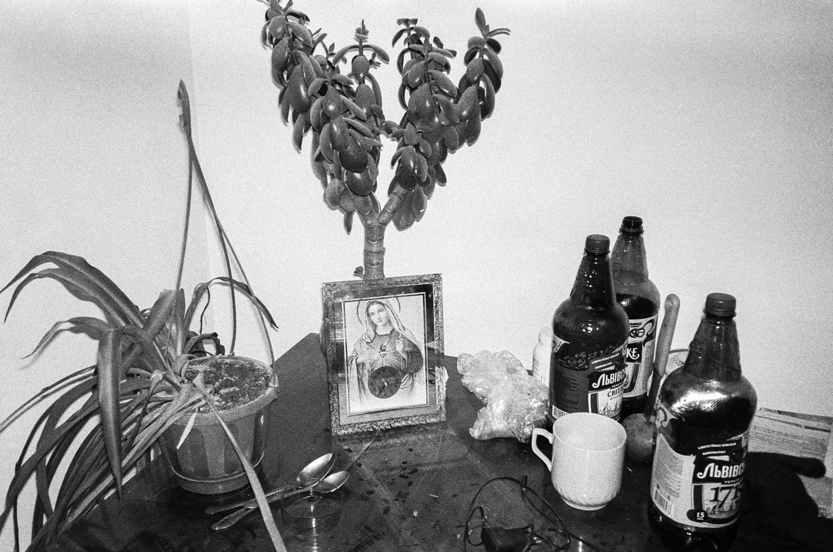 12 – burn magazine