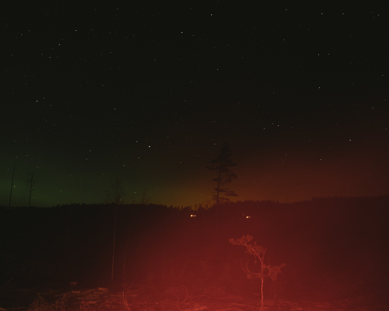 Terje Abusdal – The Forest Finns – burn magazine