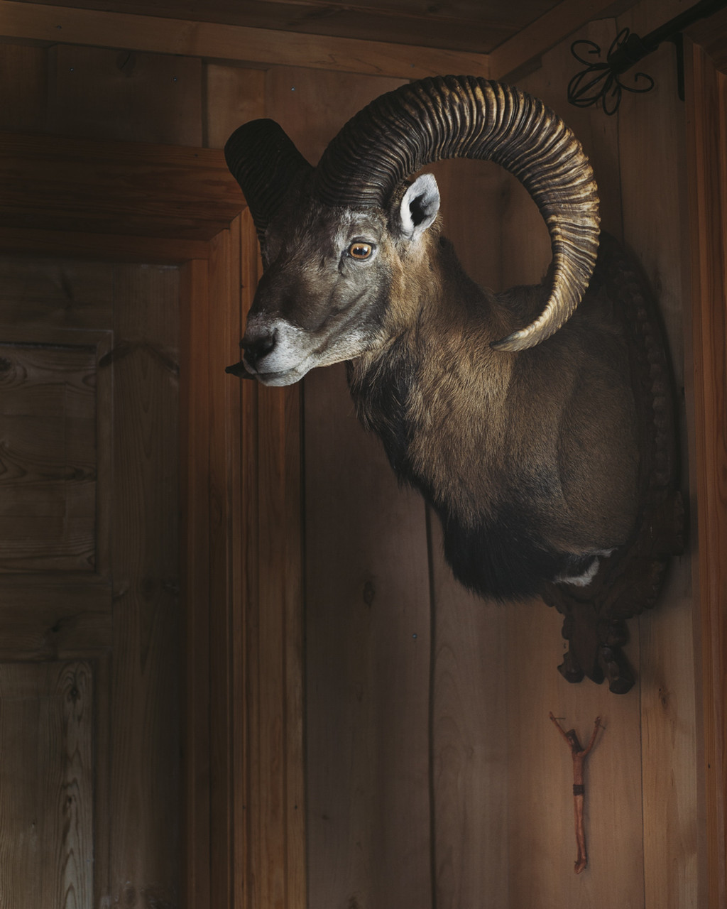 Terje Abusdal – The Forest Finns – burn magazine