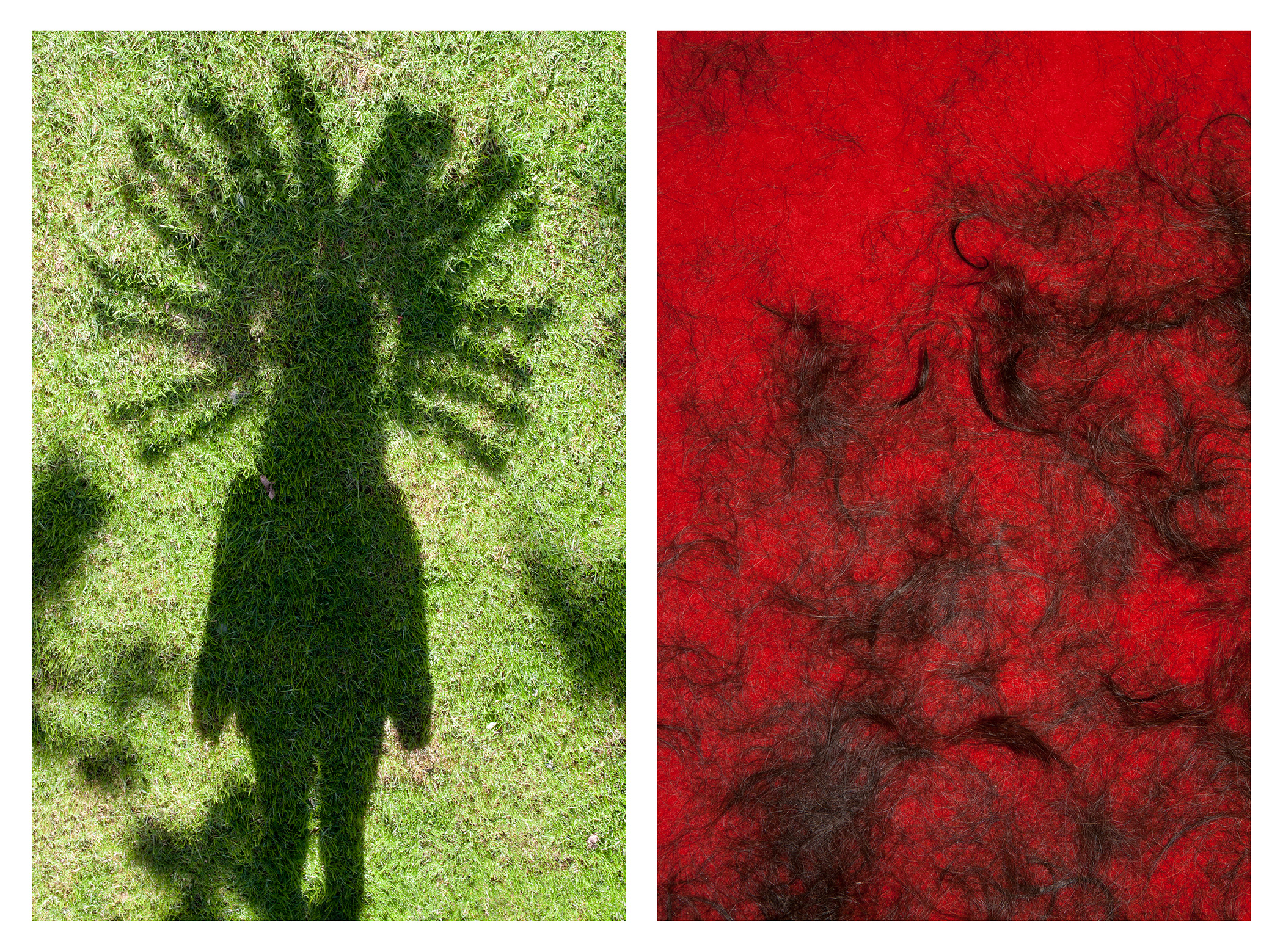 20 – “Indian shadow & Hair on red carpet“ – 726be193-ac47-4678-ae81 ...
