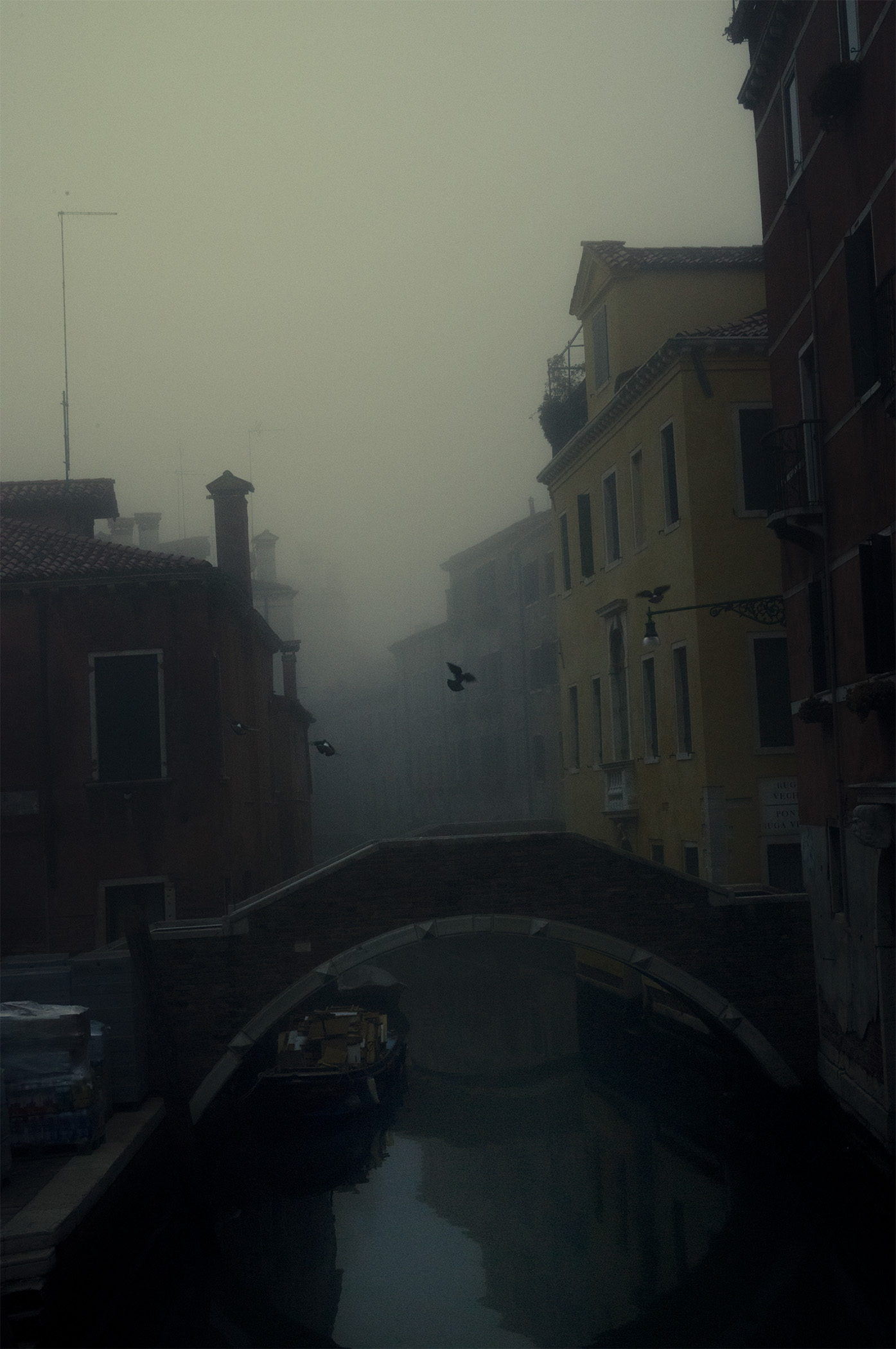 “Nebbia” by Alexander Bronfer – burn magazine